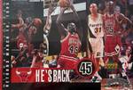 Michael Jordan #45 jersey cards - Michael Jordan Cards